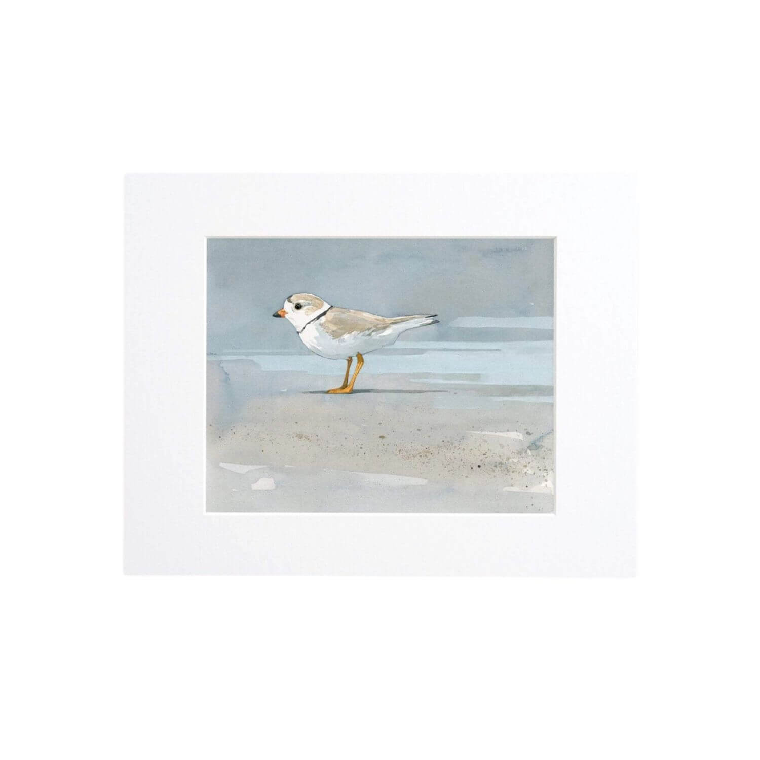 Piping Plover Beach Art Print, Coastal Décor, 8 x 10 – New England ...